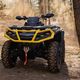 Buy Wholesale China 850cc Adults Atv, Automatic Engine, 12 Inch Tire ...