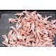 Buy Wholesale Germany Factory Direct Frozen Premium Quality Chicken ...