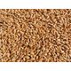 Buy Wholesale South Africa Wholesale Top Grade A Organic Whole Wheat ...