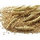 Buy Wholesale South Africa Wholesale Top Grade A Organic Whole Wheat ...