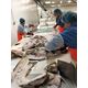 Buy Wholesale South Africa Frozen Atlantic Cod Fish Gadus Morhua ...