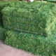 Buy Wholesale South Africa Cheap Price Premium Feed Grade Alfalfa Hay ...