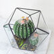 Buy Wholesale China Spherical Glass Microlandscape Polygonal Greenhouse ...
