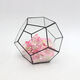 Buy Wholesale China Spherical Glass Microlandscape Polygonal Greenhouse ...
