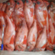 Buy Wholesale South Africa Frozen Atlantic Whole Redfish (sebastes ...