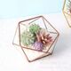 Buy Wholesale China Geometric Glass Pentagon Planter Pot Succulent Fern ...