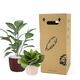 Buy Wholesale China Custom Plant Shipping Packaging Boxes Potted Live ...