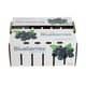 Buy Wholesale China Custom Blueberry Fruit Shipping Box Recycled Kraft ...