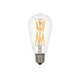 Buy Wholesale China 110v Us Black Glass G80 G95 Led Filament Bulb & Led ...