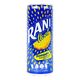 Buy Wholesale Canada Rani Pineapple Fruit Drink - Pack Of 24 - 8oz Cans ...